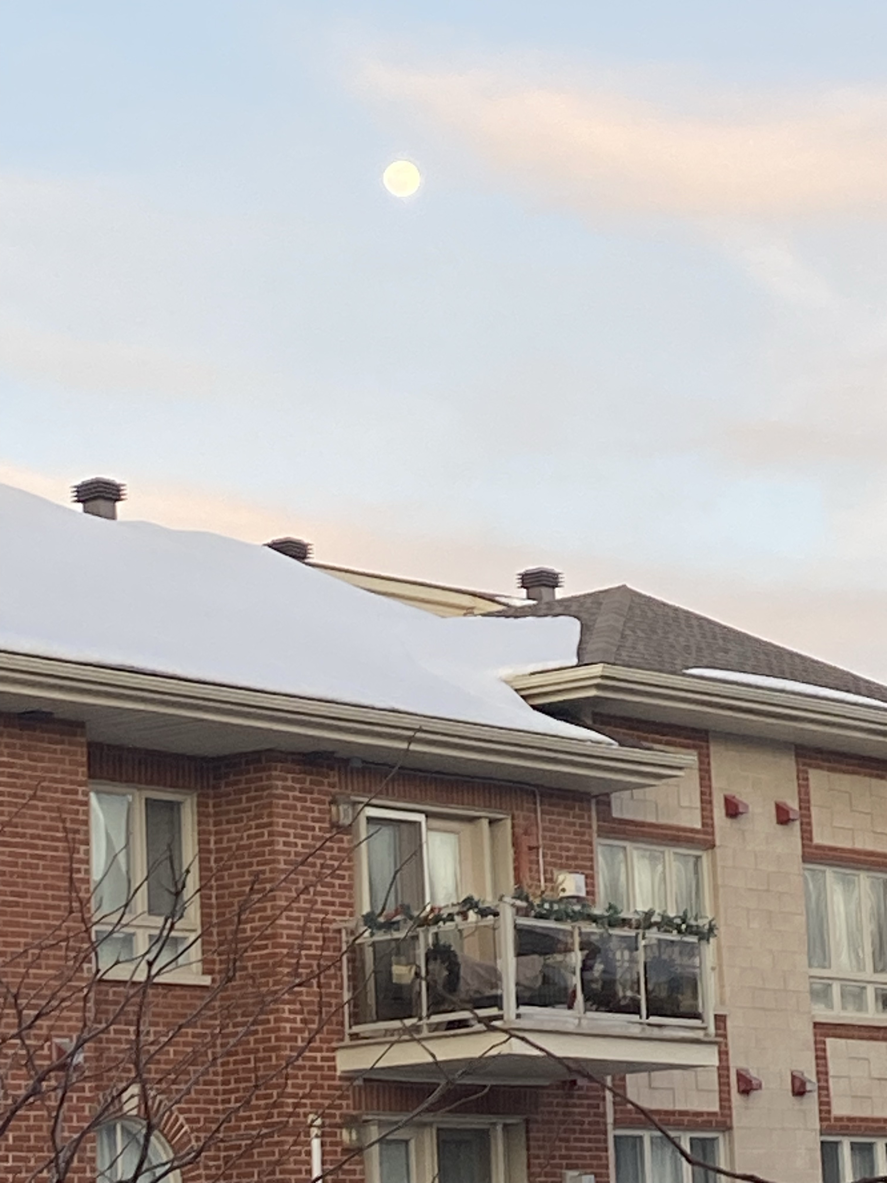 A Shy Spring Moon | isobelmtl