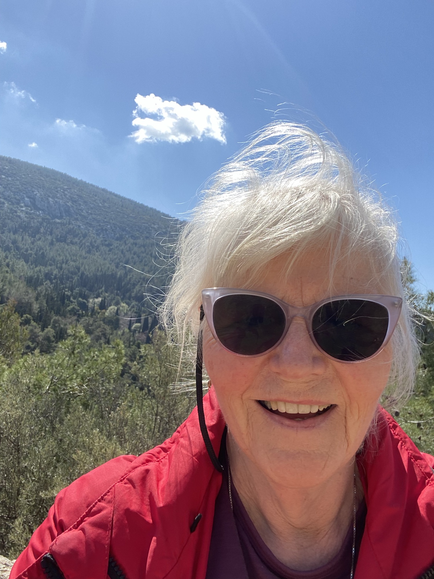 Up the Mountain | isobelmtl