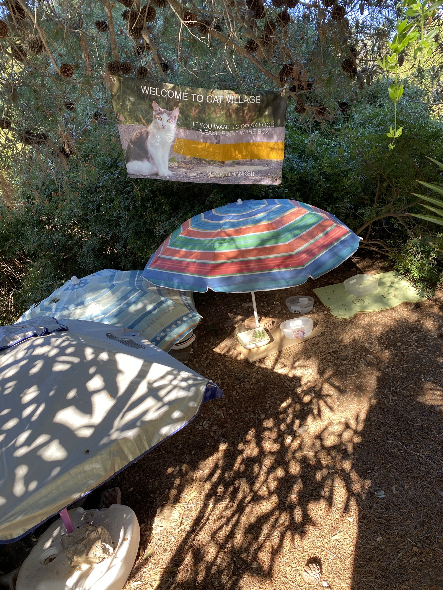 Kindness | isobelmtl