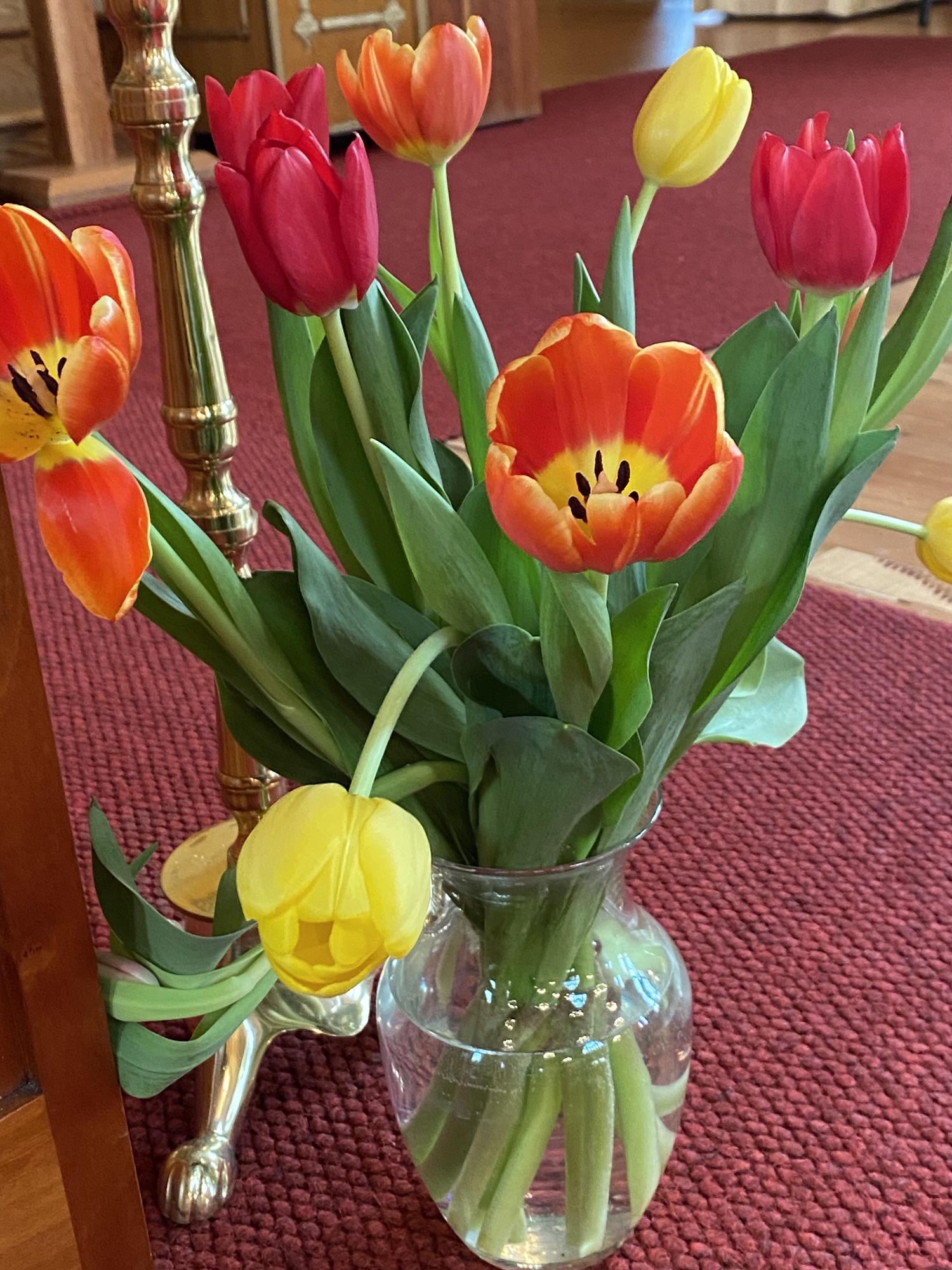 A story published – isobelmtl