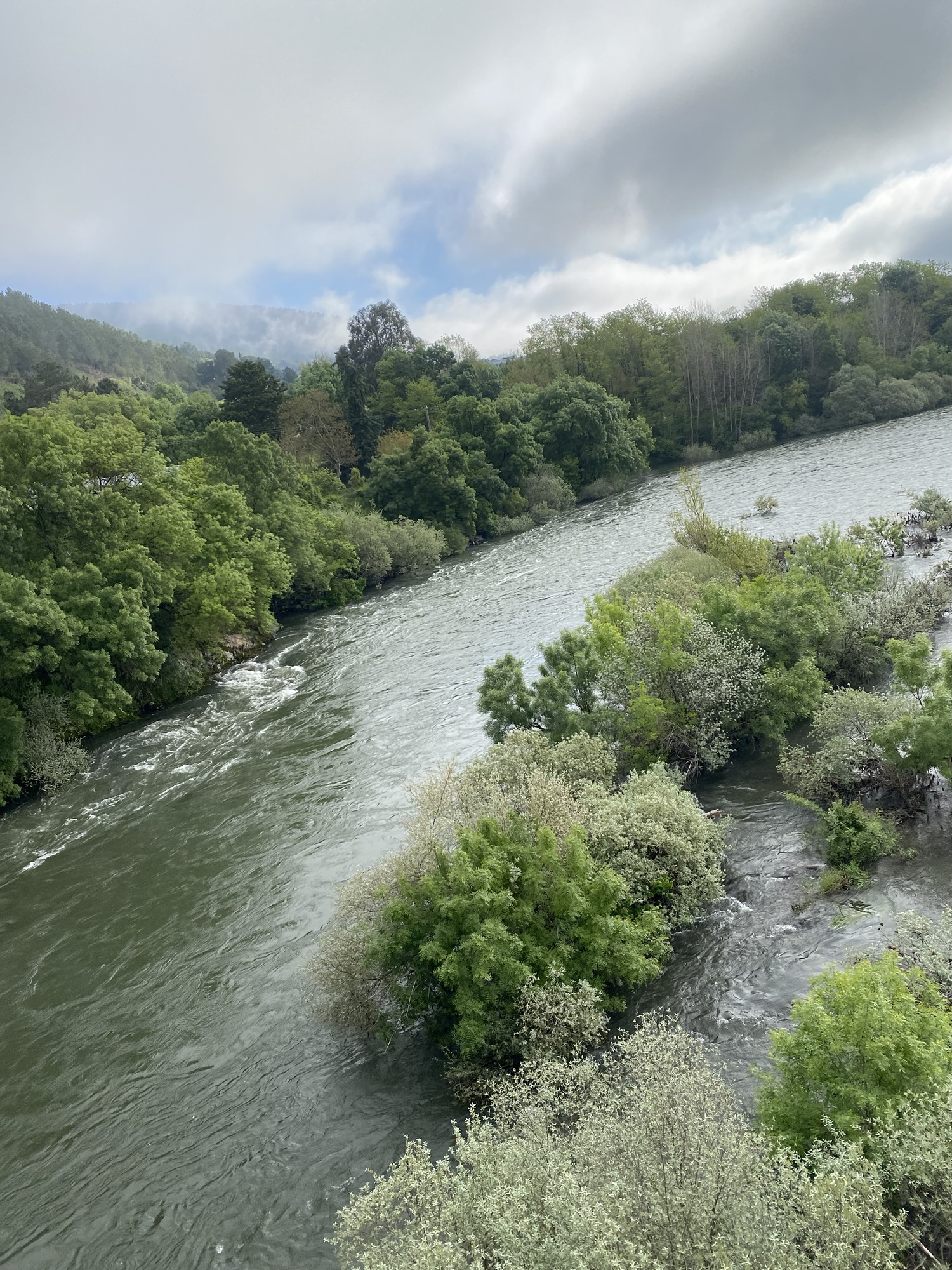 Walking in the green – isobelmtl